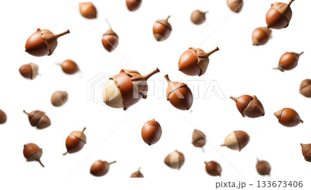 Several acorns dropping to the ground,...のイラスト素材 [133673406] - PIXTA