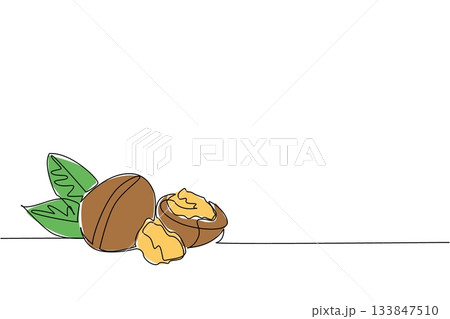Continuous one line drawing whole walnut, half...のイラスト素材 [133847510 ...