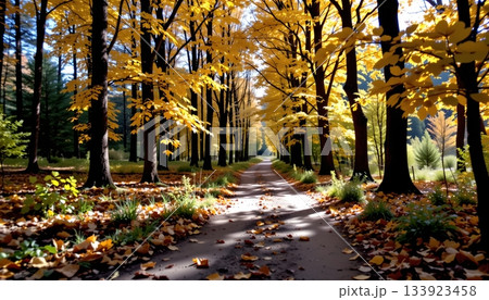 A serene fall day in an urban park settingのイラスト素材 [133923458] - PIXTA