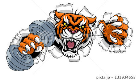 Tiger Weight Lifting Dumbbell Gym Animal Mascotのイラスト素材 [133934658] - PIXTA