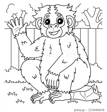 Bonobo Ape Coloring Page for Kidsのイラスト素材 [133946859] - PIXTA