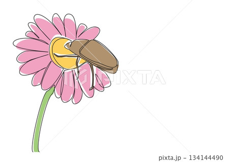 Simple continuous line drawing of a june bug on...のイラスト素材 [134144490 ...