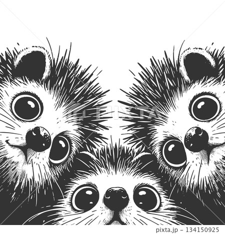 Curious Hedgehogs Staring Up engraving rasterのイラスト素材 [134150925] - PIXTA