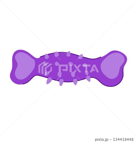 Purple bone shape dog toy for chewing and playingのイラスト素材 [134418448 ...