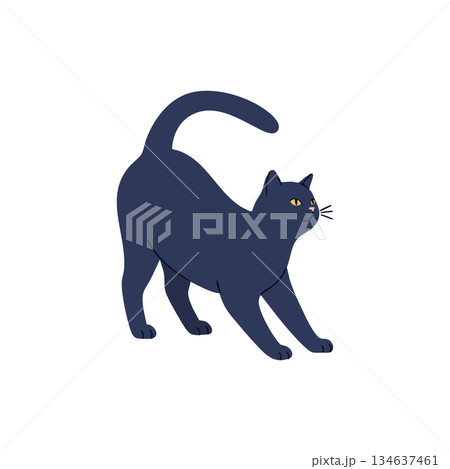 Black cat stretching with arched back and...のイラスト素材 [134637461] - PIXTA