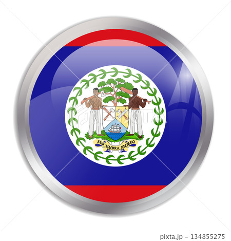 Belize flag - glossy circle button in metal...のイラスト素材 [134855275] - PIXTA