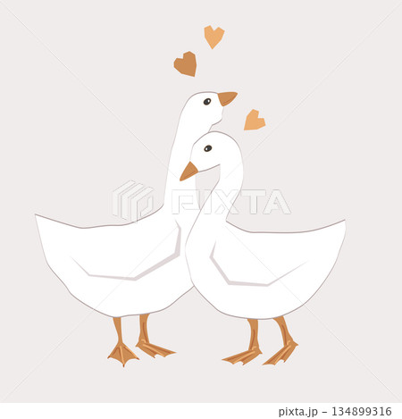 Goose Hugs couple. Cute Hugging birds isolated...のイラスト素材 [134899316 ...