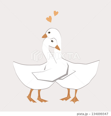 Goose Hugs couple. Cute Hugging birds isolated...のイラスト素材 [134899347 ...