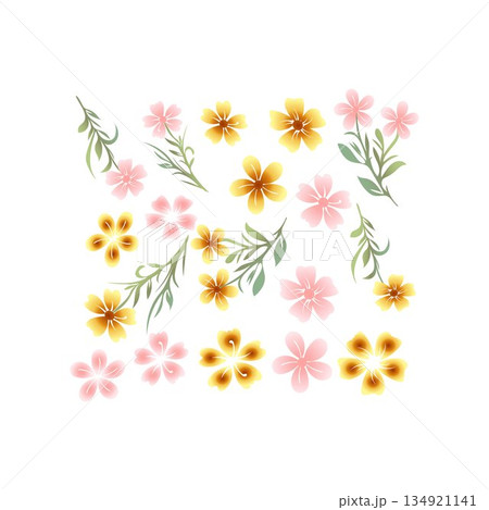 flower, botany, flower pattern loral, leaves,...のイラスト素材 [134921141] - PIXTA