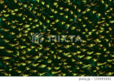 Surreal green flying fantastic pinpoint spots...のイラスト素材 [134945892] - PIXTA