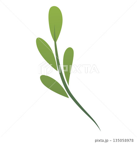 Green leaves sprig vector icon, botanical...のイラスト素材 [135058978] - PIXTA