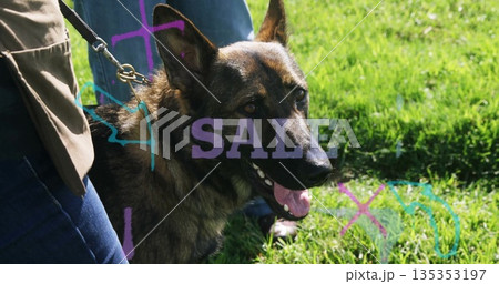 Standing German Shepherd dog panting on grassy...のイラスト素材 [135353197 ...