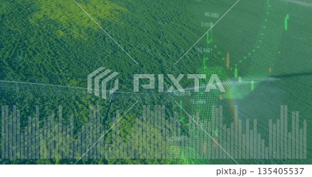 Showing dense forest canopy intersecting...のイラスト素材 [135405537] - PIXTA