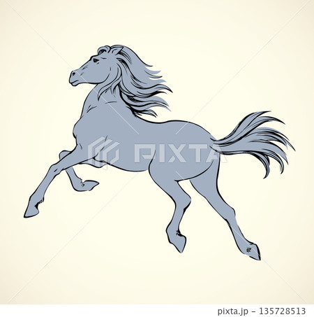 Prancing horse. Vepktorny drawingのイラスト素材 [135728513] - PIXTA