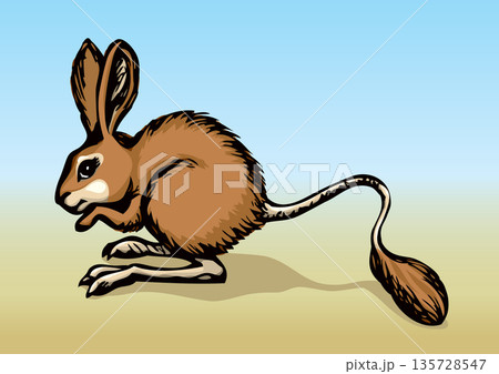 Jerboa. Vector drawingのイラスト素材 [135728547] - PIXTA