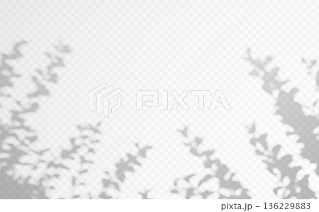 Shadow overlay bush on transparent background....のイラスト素材 [136229883 ...